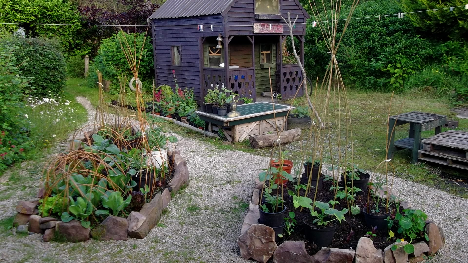Bealtaine Cottage Potager beds in June – Bealtaine Cottage, Ireland