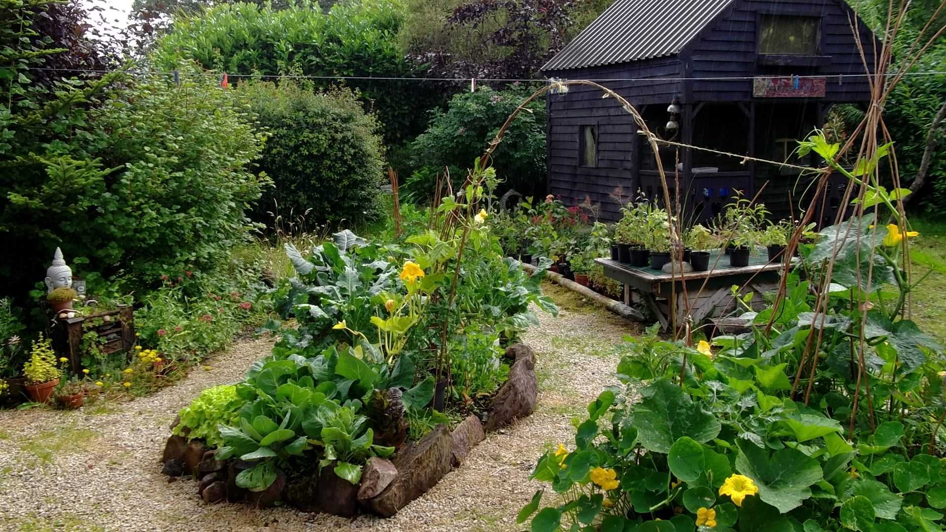 Bealtaine Cottage potage beds in the permaculture gardens – Bealtaine ...