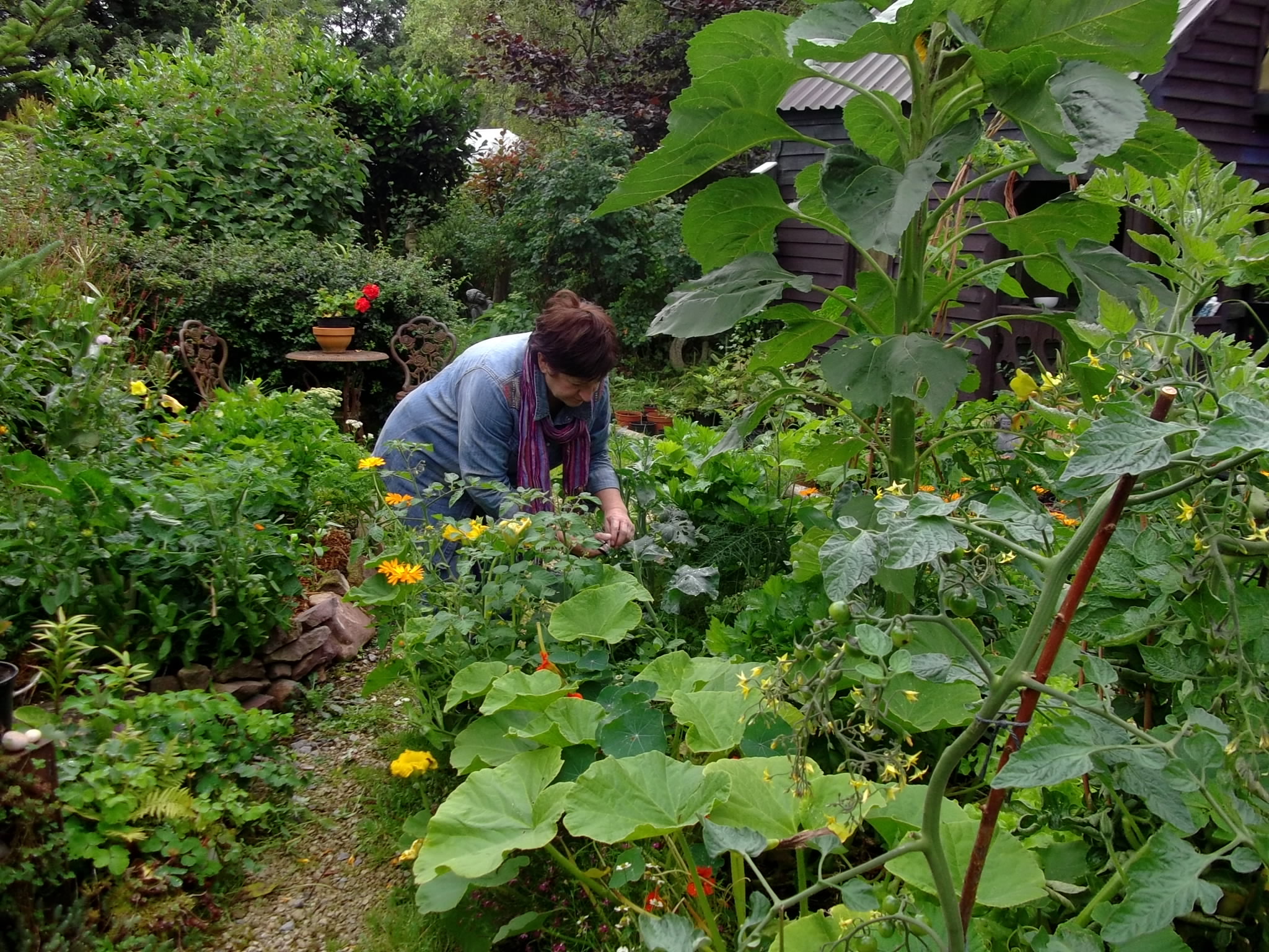 Potager beds – Bealtaine Cottage, Ireland