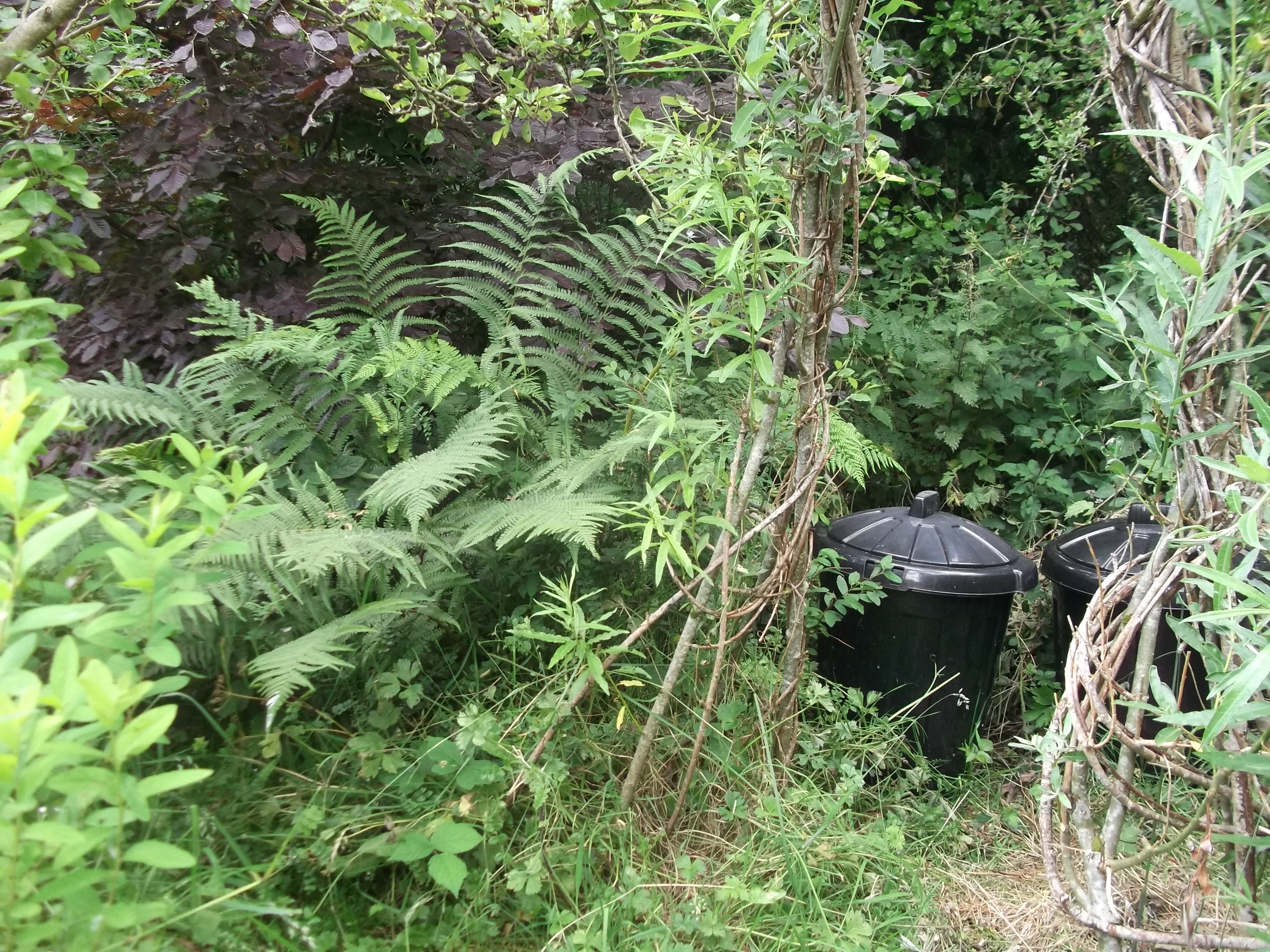 compost loo 003 – Bealtaine Cottage, Ireland