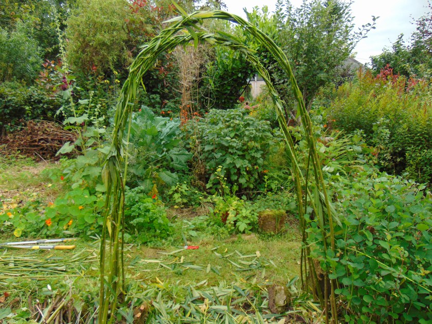 How To Make A Willow Arch For Your Garden…For Free – Bealtaine Cottage ...